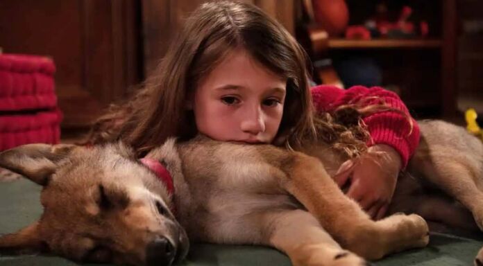 Where Was Vicky And Her Mystery Filmed? See Netflix Locations